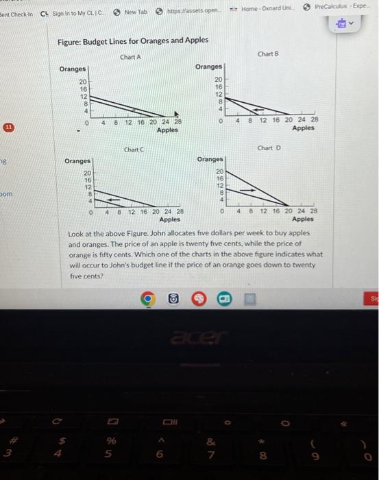 Solved PreCalculus - Expt Figure: Budget Lines for Oranges | Chegg.com