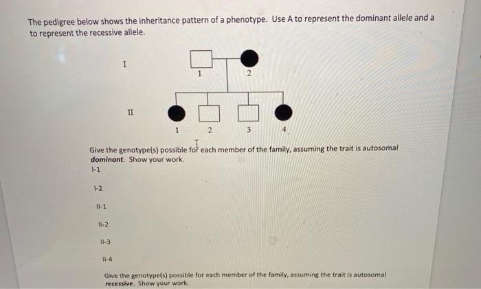 Solved The pedigree below shows the inheritance pattern of a | Chegg.com
