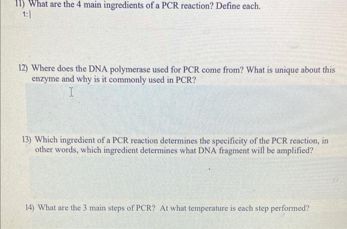 Solved 11) What are the 4 main ingredients of a PCR | Chegg.com