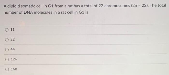 Solved A diploid somatic cell in G1 from a rat has a total | Chegg.com