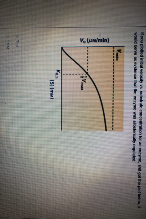 Solved Vo (uM/min) If you plotled initial velocity vs. | Chegg.com