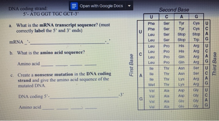 Solved = Open with Google Docs DNA coding strand: 5'- ATG | Chegg.com