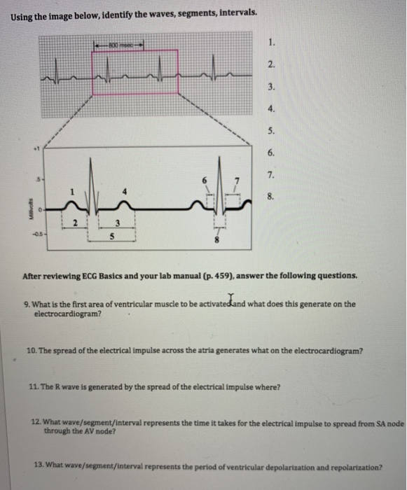 Solved Using the image below, identify the waves, segments, | Chegg.com