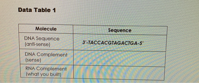 Solved Data Table 1 Sequence Molecule DNA Sequence | Chegg.com