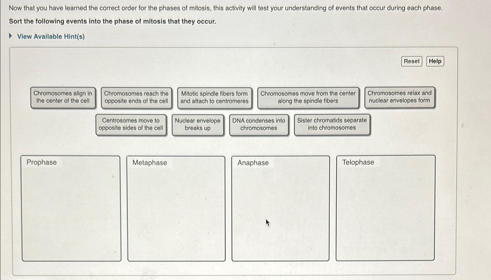 Solved Now that you have learned the correct order for the | Chegg.com