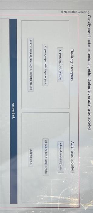 Solved Classify each location as containing either | Chegg.com