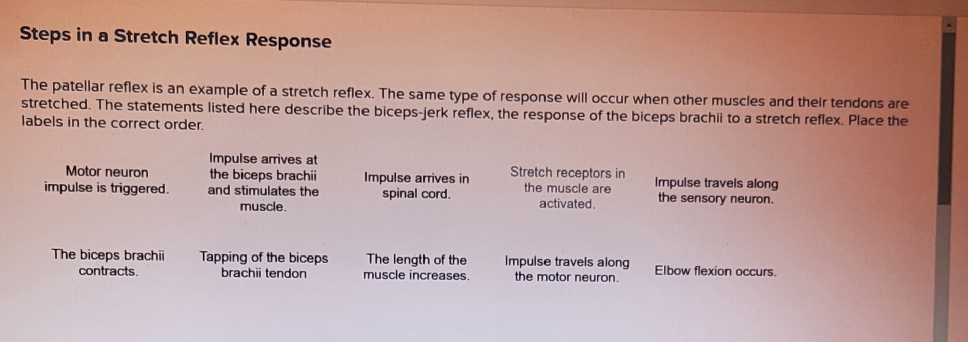 Solved Steps in a Stretch Reflex ResponseThe patellar reflex | Chegg.com