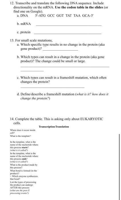 Solved 12. Transcribe and translate the following DNA | Chegg.com