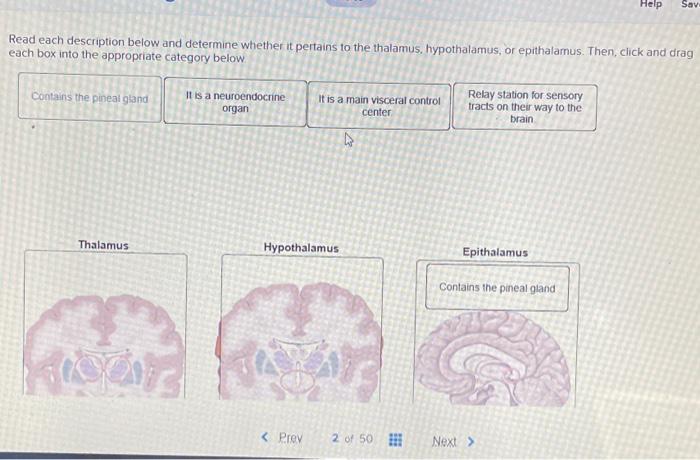 Solved Help Sav Read each description below and determine | Chegg.com