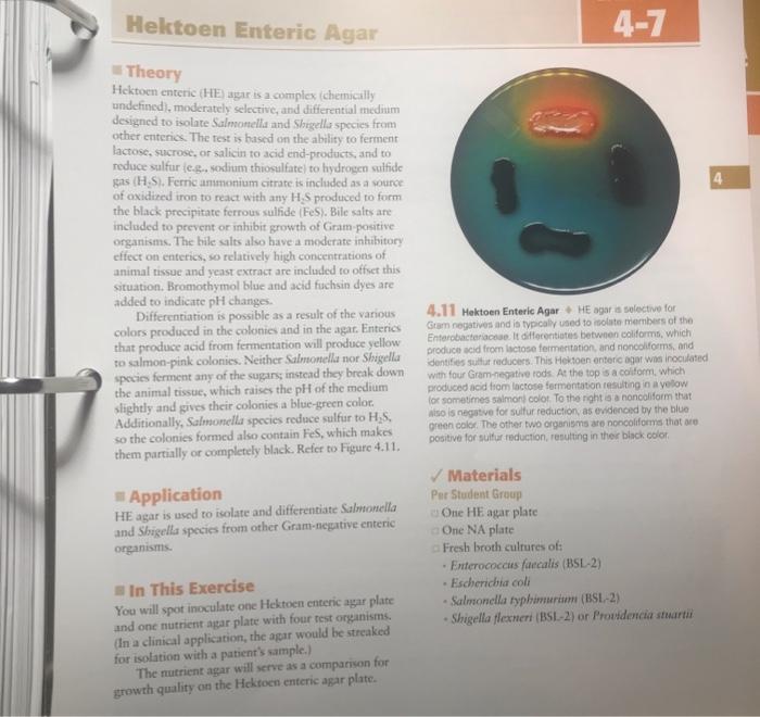 Selective and Differential Media Assignment Worksheet | Chegg.com