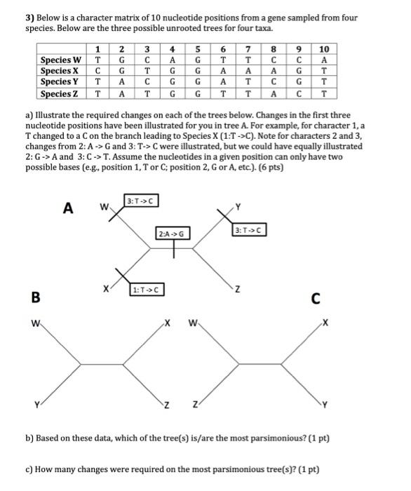 Solved 3) Below is a character matrix of 10 nucleotide | Chegg.com