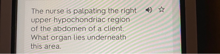 Solved The nurse is palpating the right upper hypochondriac | Chegg.com
