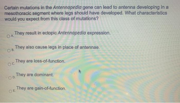 Solved Certain mutations in the Antennapedia gene can lead | Chegg.com