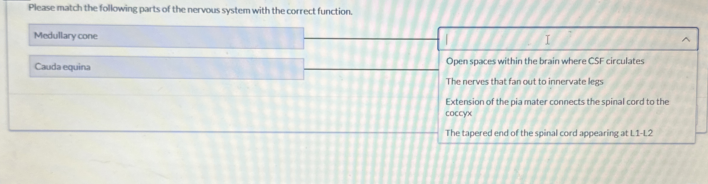 Solved Please match the following parts of the nervous | Chegg.com