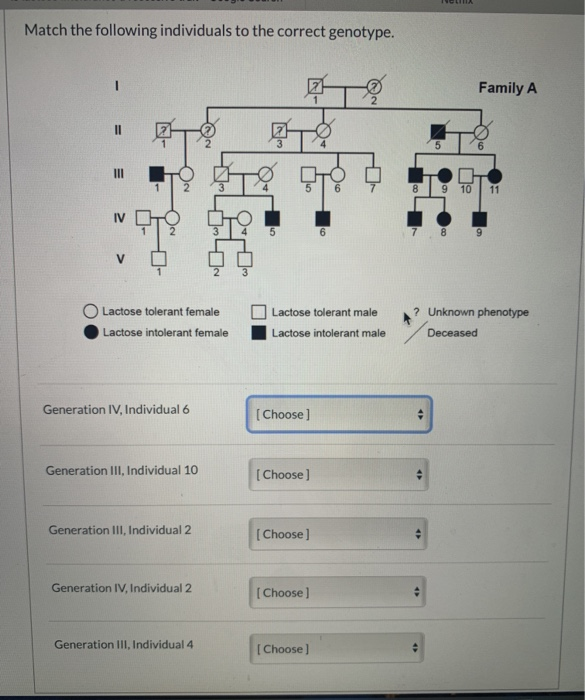 Solved Match the following individuals to the correct | Chegg.com