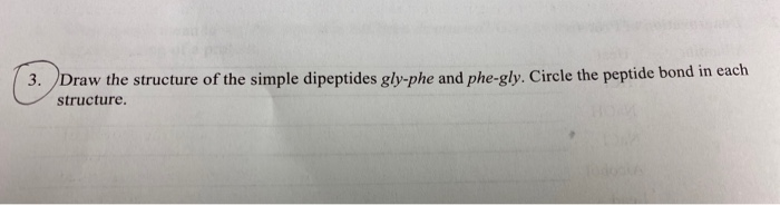 Solved 3. Draw the structure of the simple dipeptides | Chegg.com