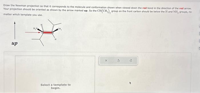 Solved Draw the Newman projection so that it corresponds to | Chegg.com