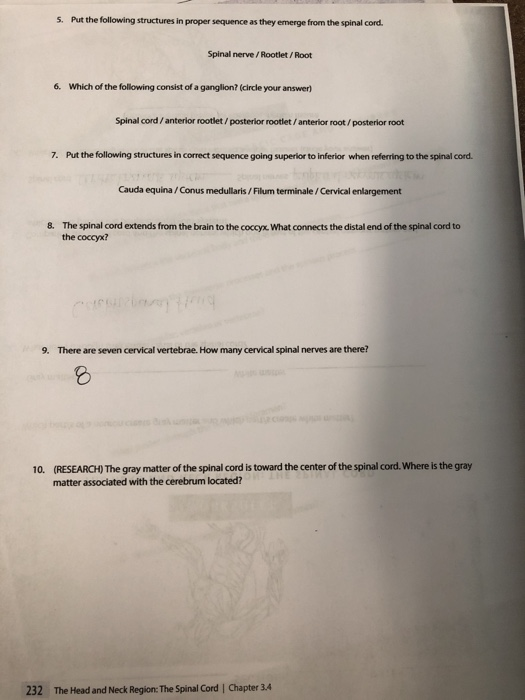 Solved 5. Put the following structures in proper sequence as | Chegg.com