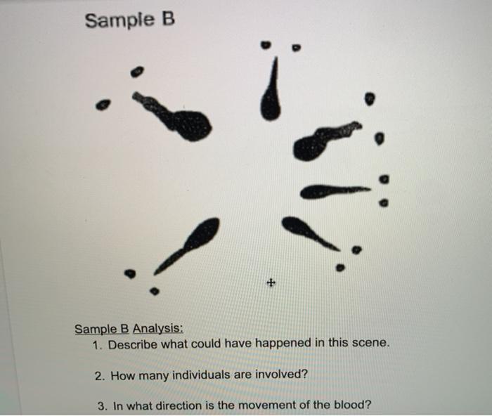 Solved BLOOD ACTIVITY - AREA OF CONVERGENCE Background: The | Chegg.com