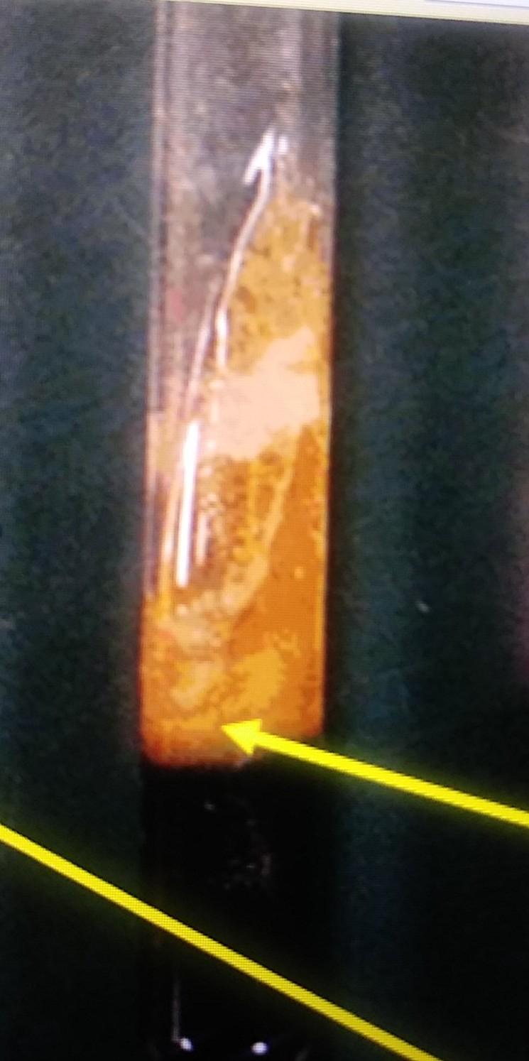 Solved TSI Gas what does it look like? What is the color of | Chegg.com