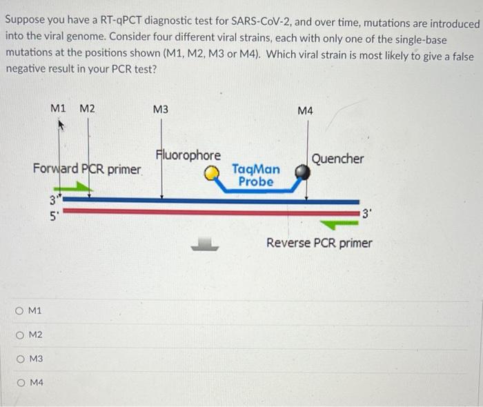 Solved Suppose you have a RT-qPCT diagnostic test for | Chegg.com