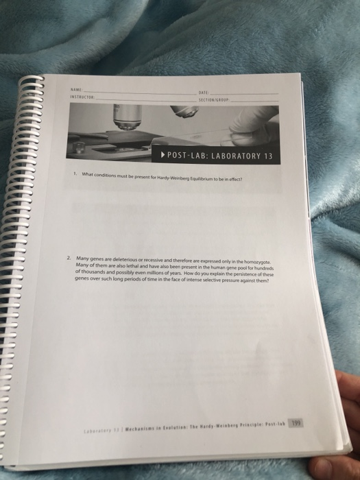 Solved ( SECTION GROUP POST-LAB: LABORATORY 13 TTTTTTTTTT 1. | Chegg.com