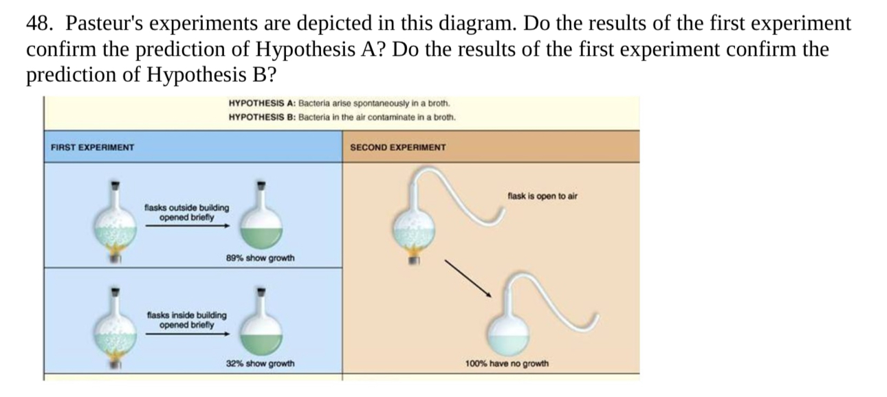 Solved Pasteur's experiments are depicted in this diagram. | Chegg.com