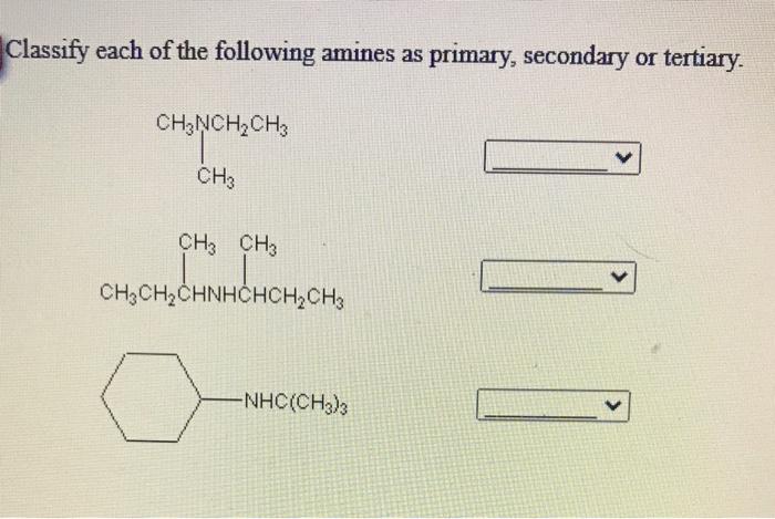Solved Classify each of the following amines as primary, | Chegg.com