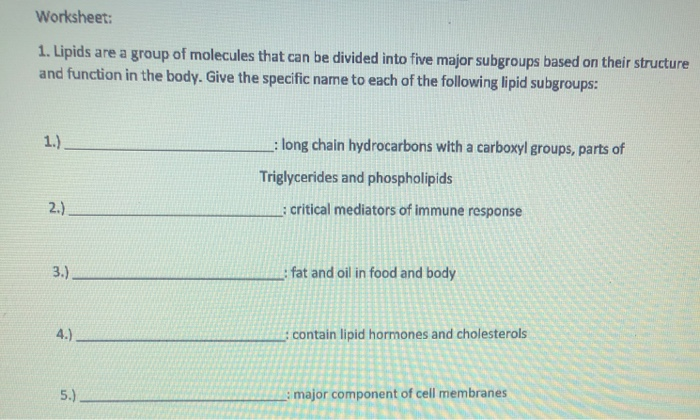 Solved Worksheet: 1. Lipids are a group of molecules that | Chegg.com