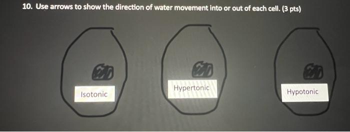 Solved 10. Use arrows to show the direction of water | Chegg.com