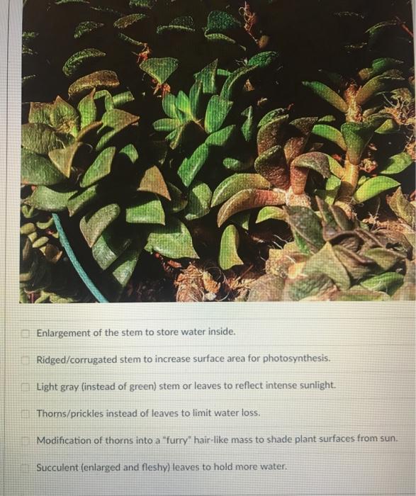 Solved Next to Sequoia Hall are the Sac State greenhouses. | Chegg.com