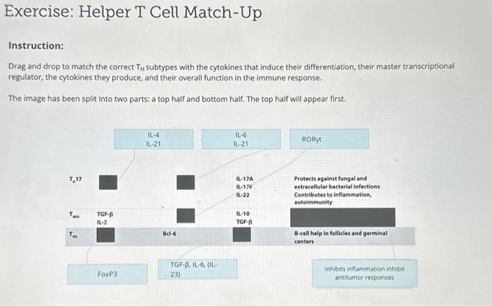 [Solved]: Exercise: Helper T Cell Match-Up Instruction: Dra