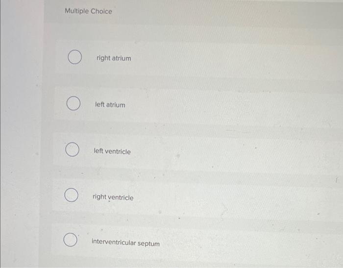Solved Which structure is highlighted? Multiple Choice | Chegg.com