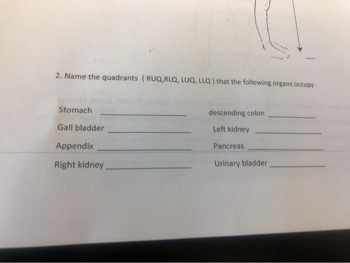 Solved 2. Name the quadrants (RUQ,RLO, LUQ, LLQ) that the | Chegg.com