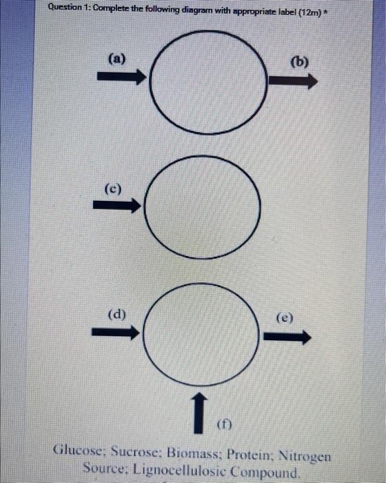 Solved Question 1: Complete the following diagram with | Chegg.com