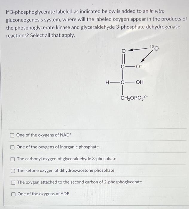 Solved If 3-phosphoglycerate labeled as indicated below is | Chegg.com