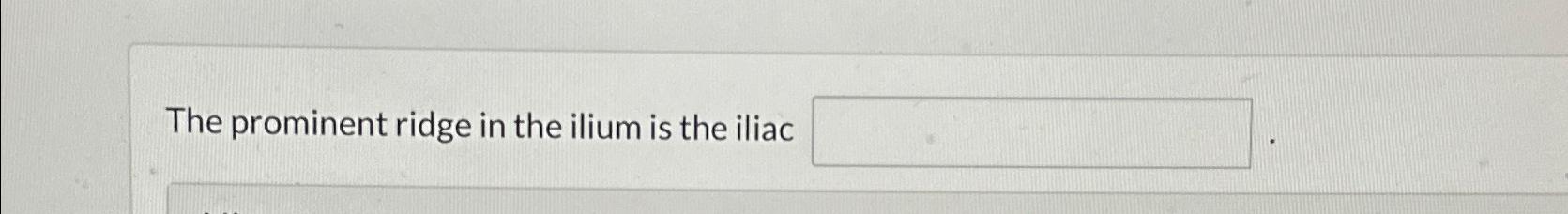 Solved The prominent ridge in the ilium is the iliac | Chegg.com