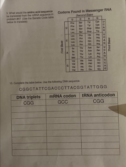 Solved 2. Break the following DNA sequence into triplets. | Chegg.com