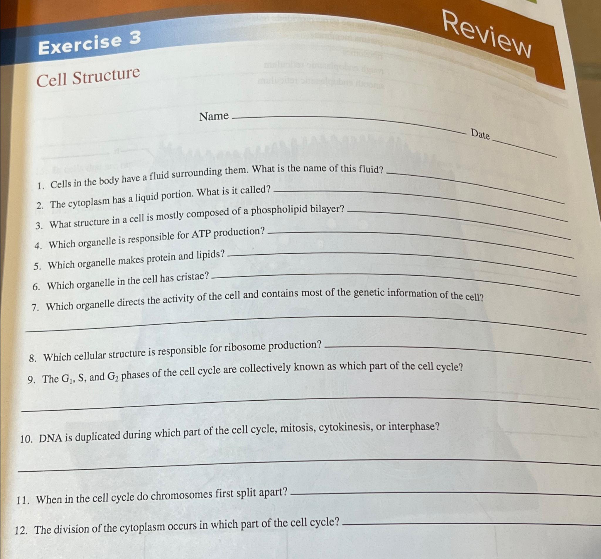 Solved Exercise 3Cell StructureNameCells in the body have a | Chegg.com