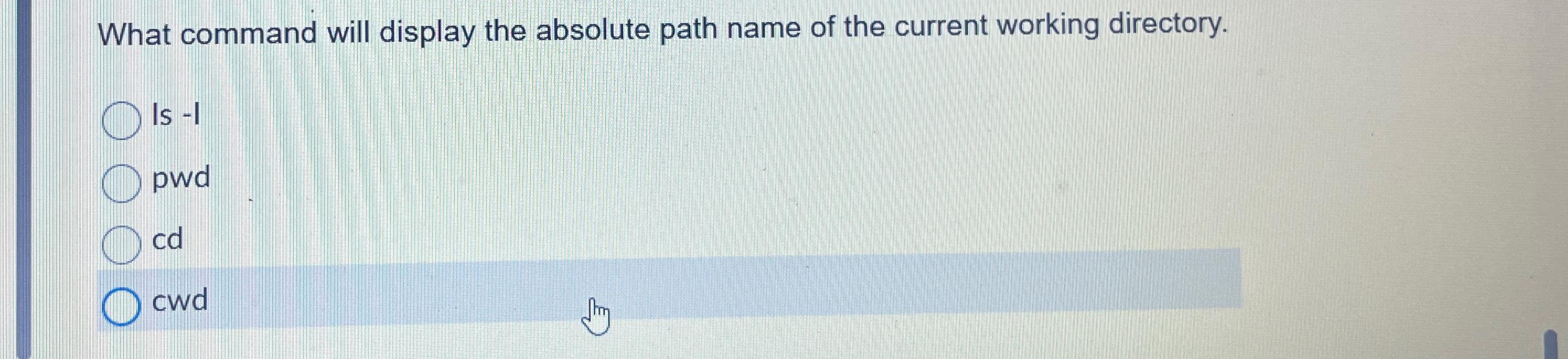 Solved What command will display the absolute path name of | Chegg.com