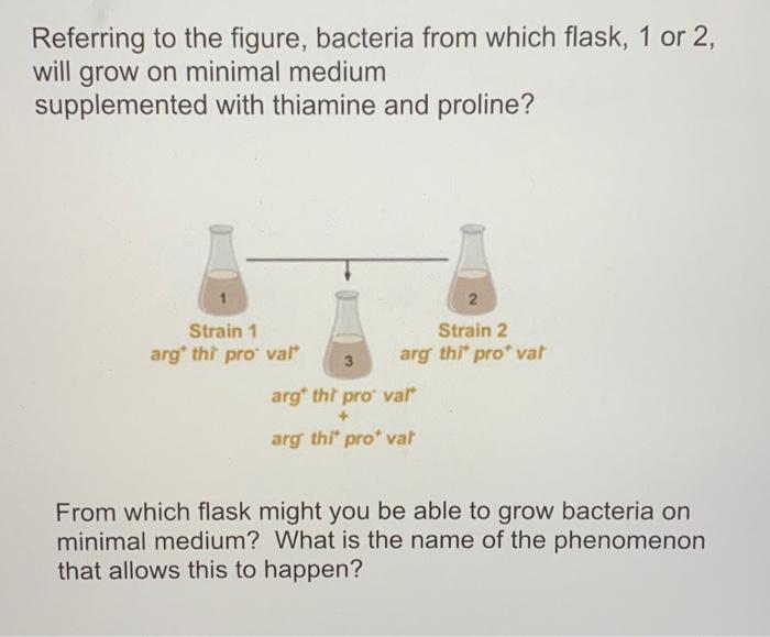 Solved 5.) A bacterial strain that will grow on minimal | Chegg.com