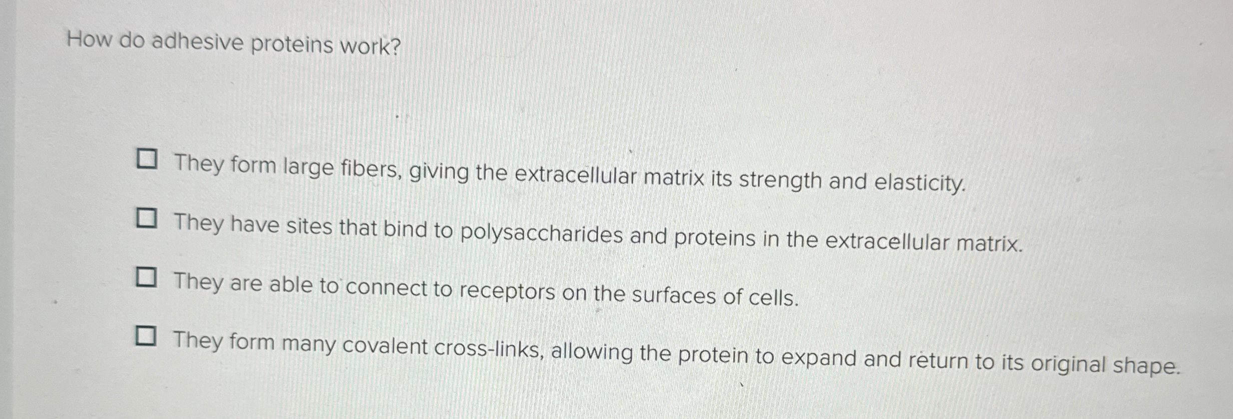 Solved How do adhesive proteins work?They form large fibers, | Chegg.com
