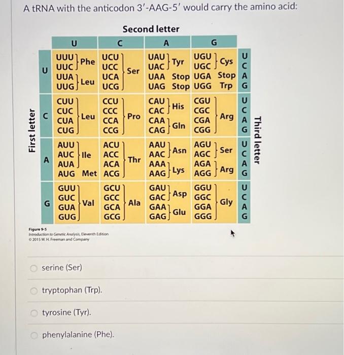 Solved A tRNA with the anticodon 3′-AAG- 5′ would carry the | Chegg.com