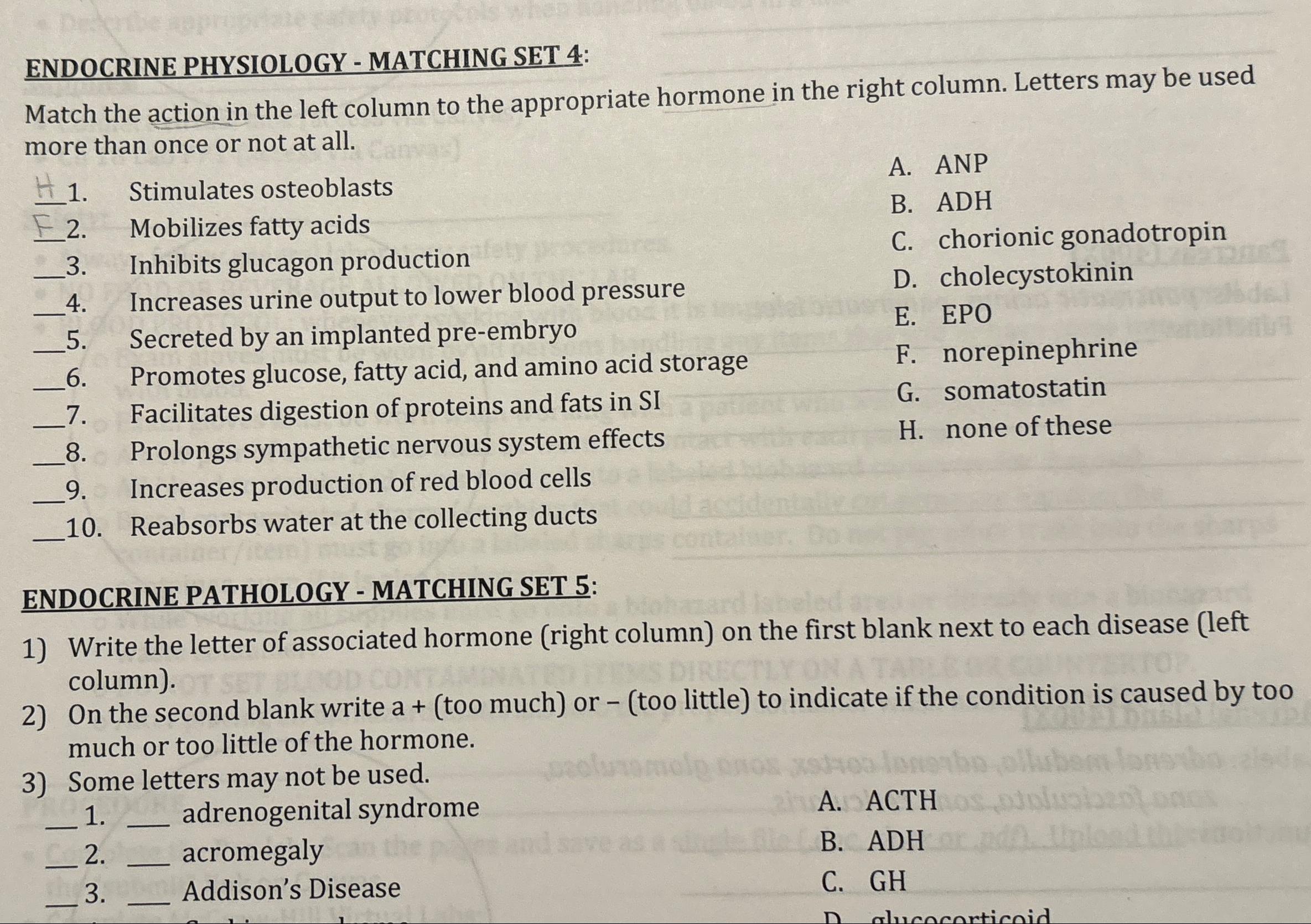 Solved ENDOCRINE PHYSIOLOGY - ﻿MATCHING SET 4:Match the | Chegg.com