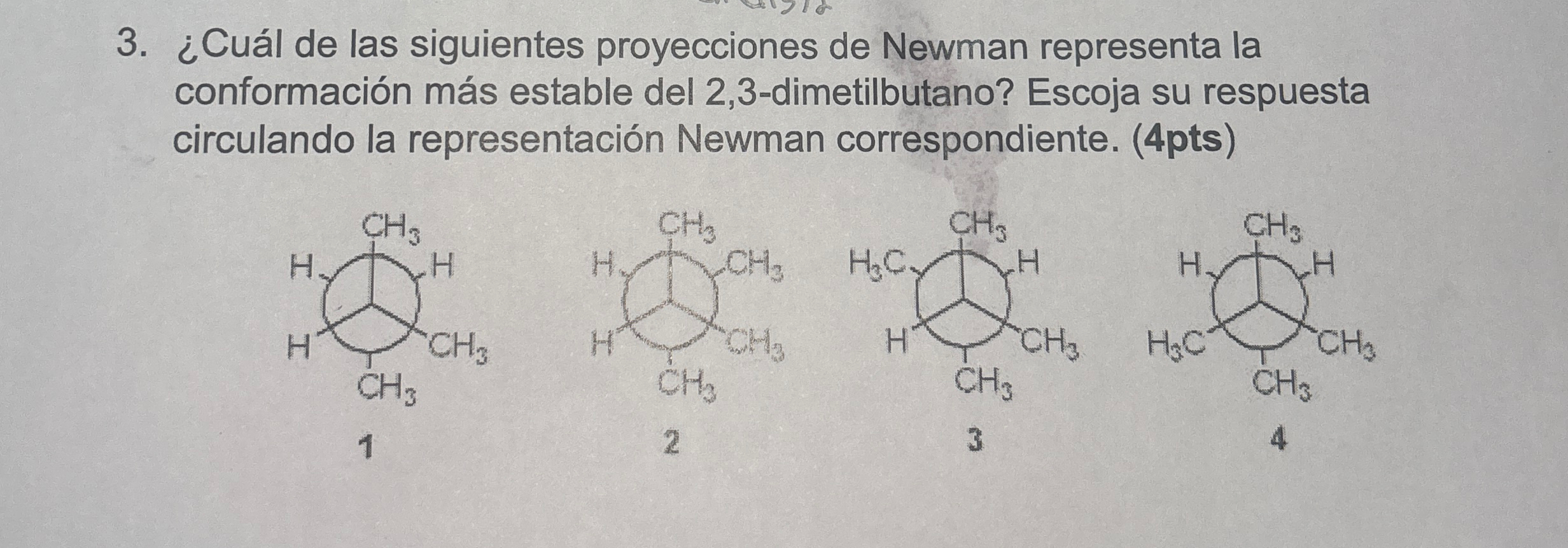 Solved ¿Cuál de las siguientes proyecciones de Newman | Chegg.com