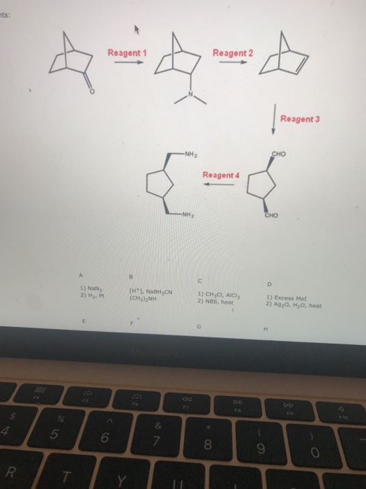 Solved nts: Reagent 1 Reagent 2 Reagent 3 -NH2 CHO Reagent 4 | Chegg.com