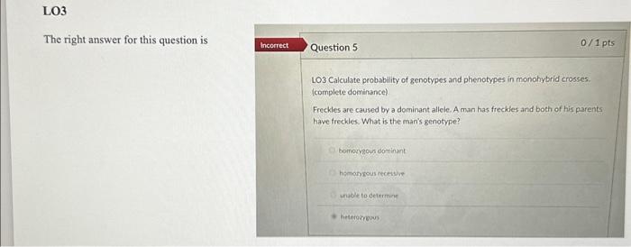 Evidence for learning outcome mastery- Template 1. | Chegg.com