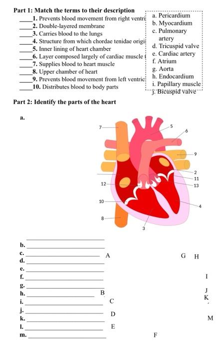 Solved Part 1: Match the terms to their description Part 2: | Chegg.com