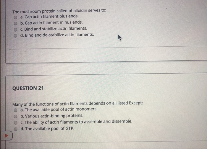 Solved The mushroom protein called phalloidin serves to: a. | Chegg.com