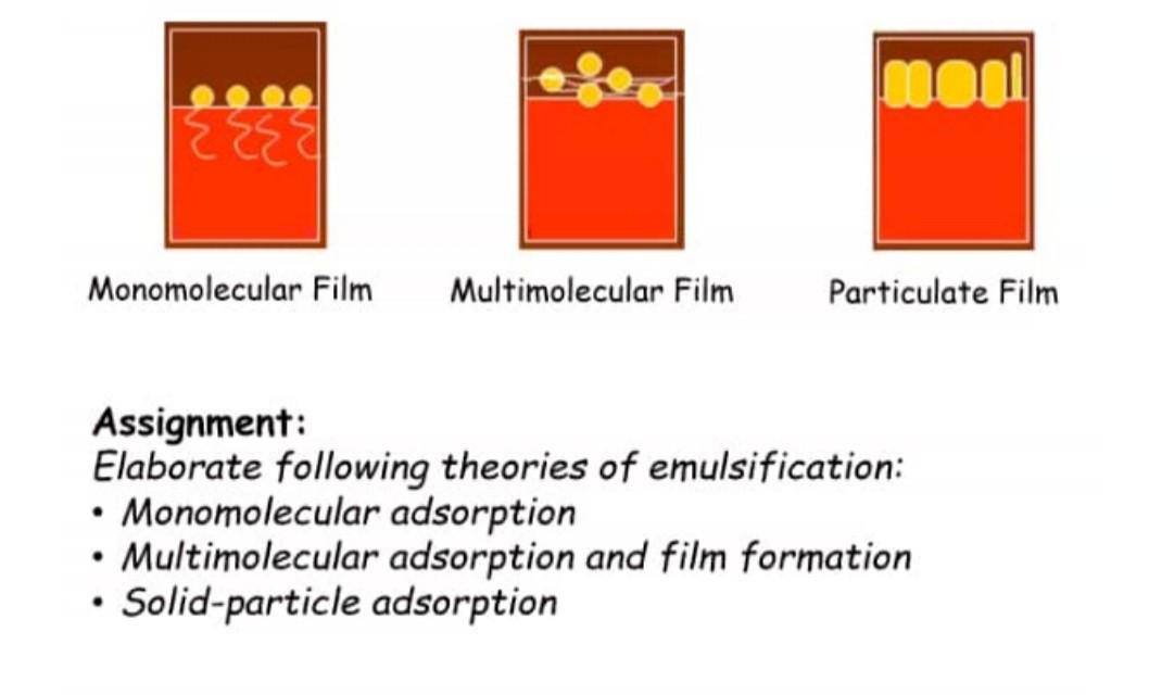 Solved mon EEE Monomolecular Film Multimolecular Film | Chegg.com